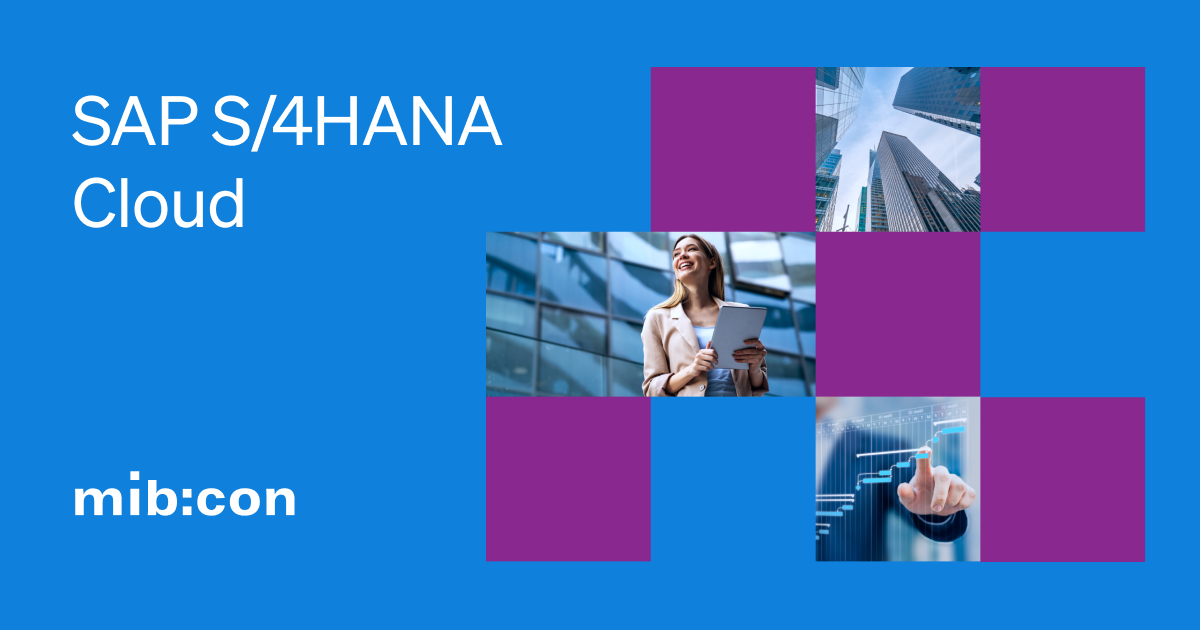 SAP S/4HANA | Mibcon